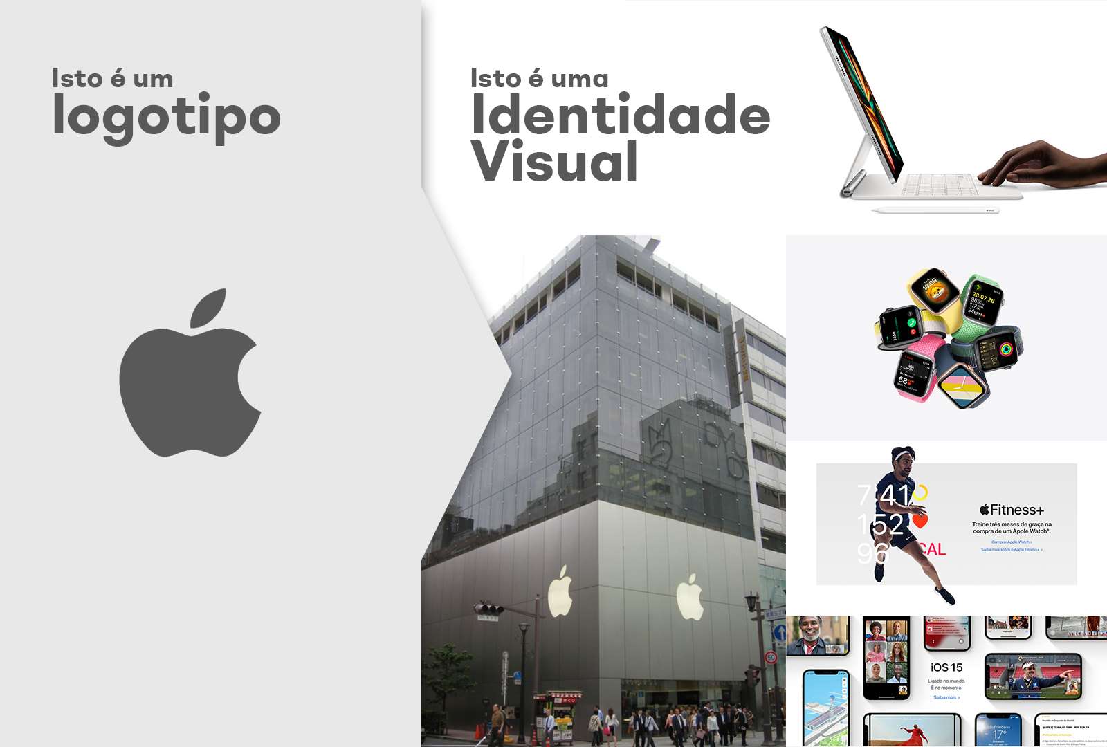 Diferença entre Identidade Visual e Logotipo | Caviar Criativo Diferença entre Identidade Visual e Logotipo | Caviar Criativo
