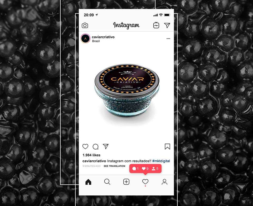 Agência de Marketing Digital em Manaus | Caviar Criativo